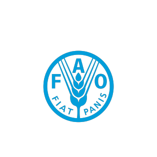 Sun Yemen – Web Site for English